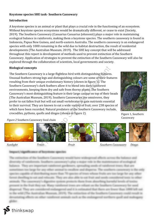 Keystone Species SHE Task | Biology - Year 11 SACE | Thinkswap