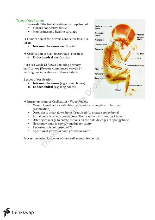 week-1-skeletal-system-notes-1016msc-anatomy-physiology-systems-1