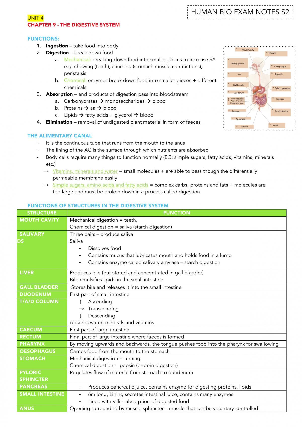 Human Biology Year 11 Semester 2 (Chapter 13-23) Notes | Human Biology ...