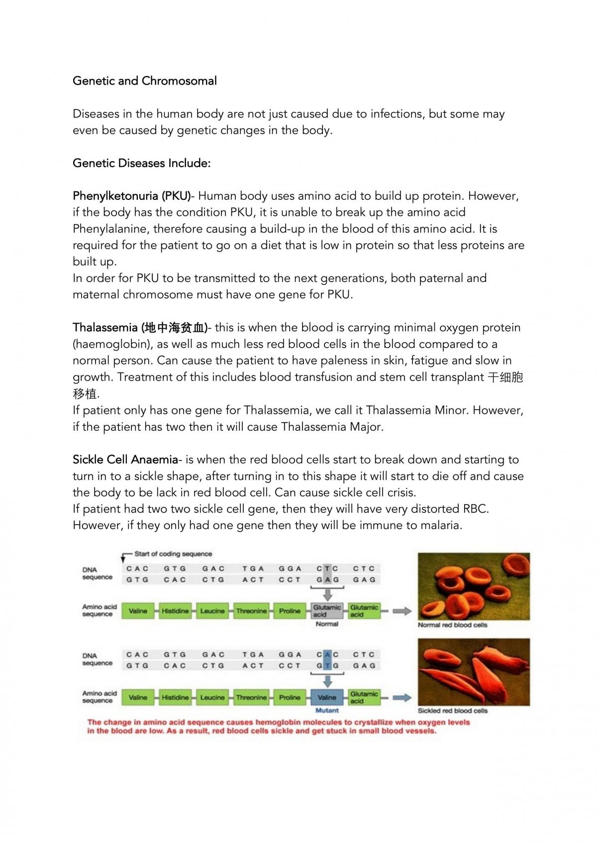 Stage 2 Biology Notes | Biology - Year 12 SACE | Thinkswap