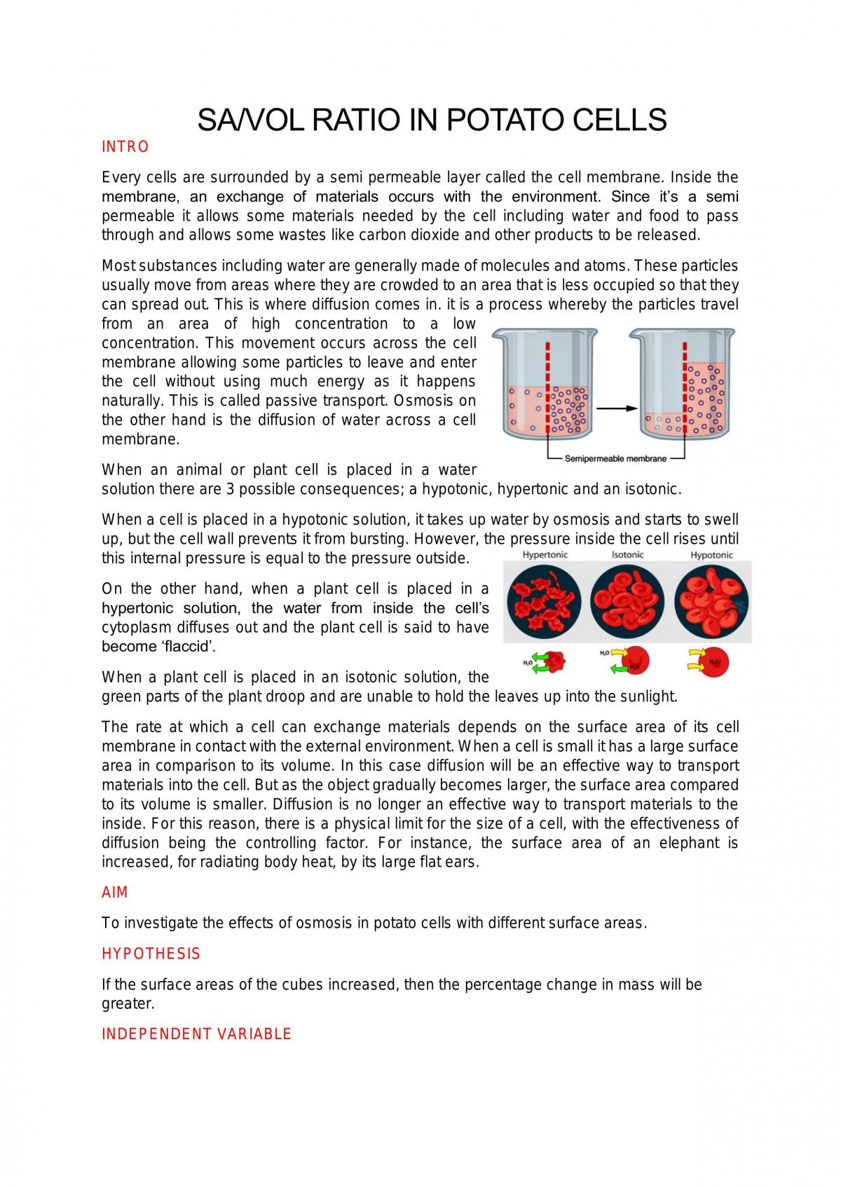 Surface Area to Volume Ratio Practical | Biology - Year 12 HSC | Thinkswap