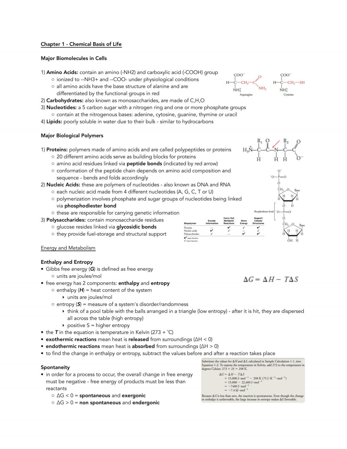 Complete Proteins and Nucleic Acids Textbook Notes | BIOCHEM 3G03 ...
