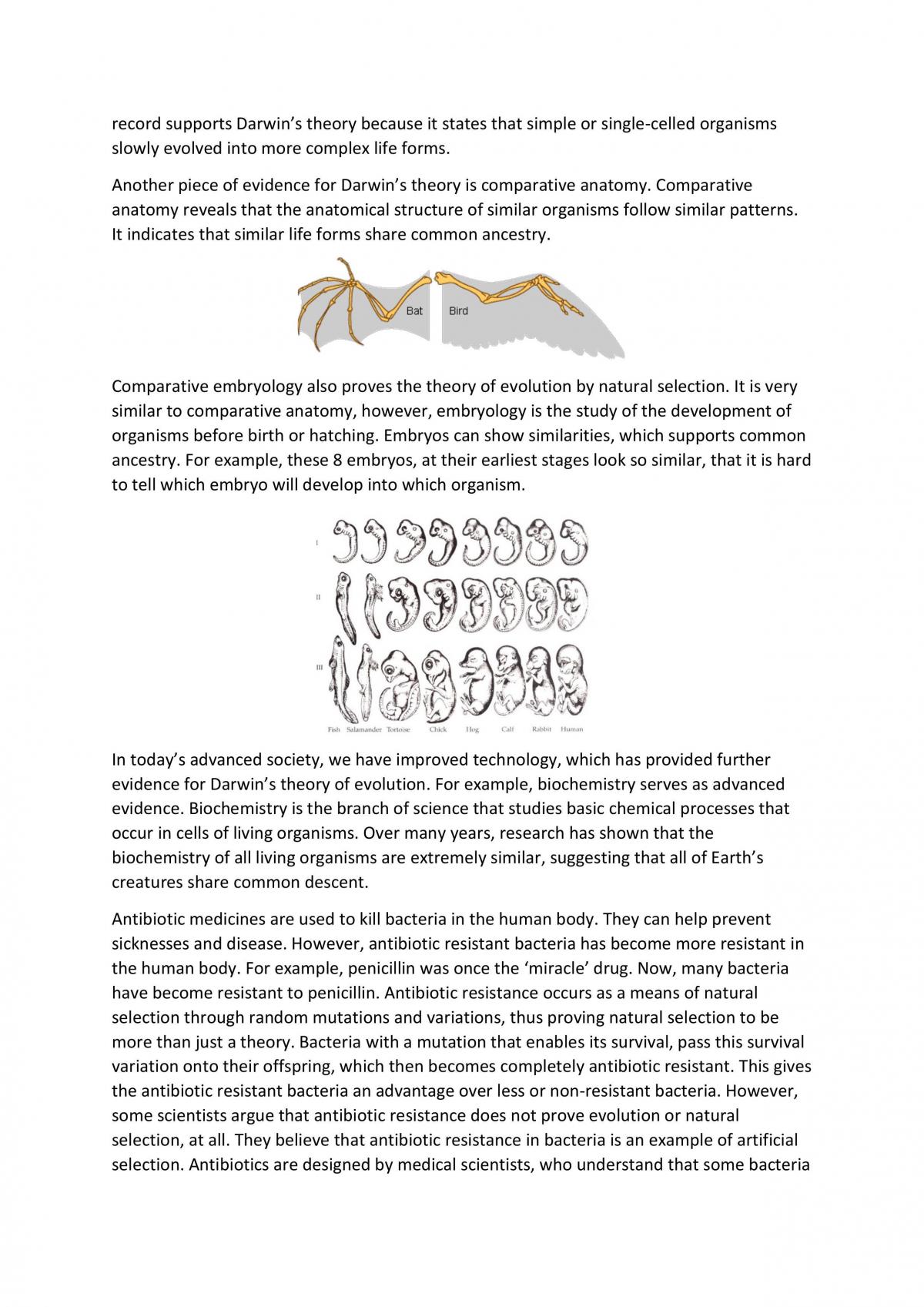 Essay Discussing the Evolution of Species on Earth | Biology - Year 11 ...