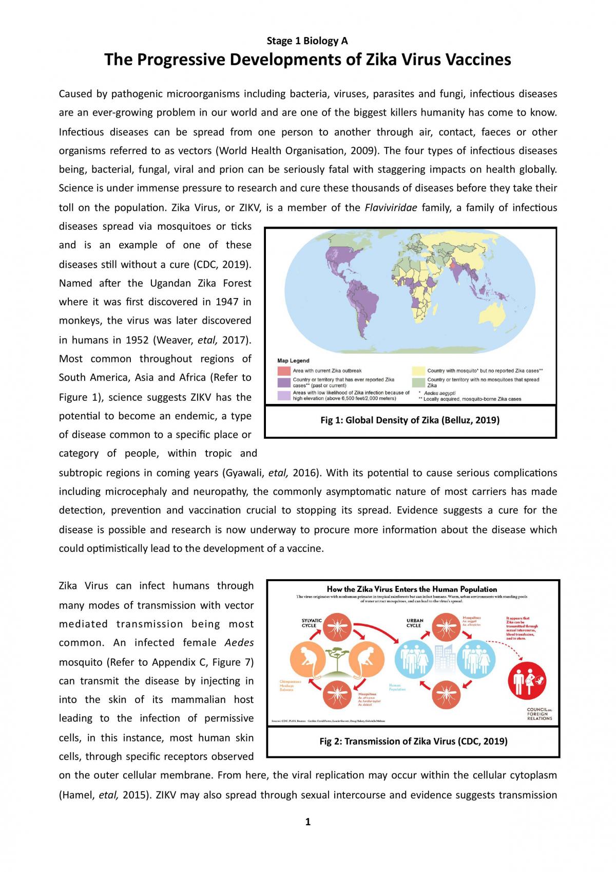 SACE Stage 1 Biology- Infectious Diseases SHE Task Zika Virus | Biology ...