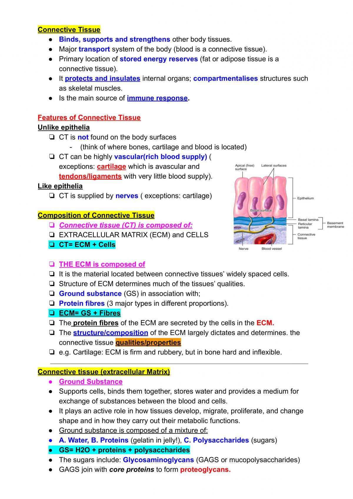Biology for Biomedical Science: Cellular Processes Notes | BIOSCI 107 ...