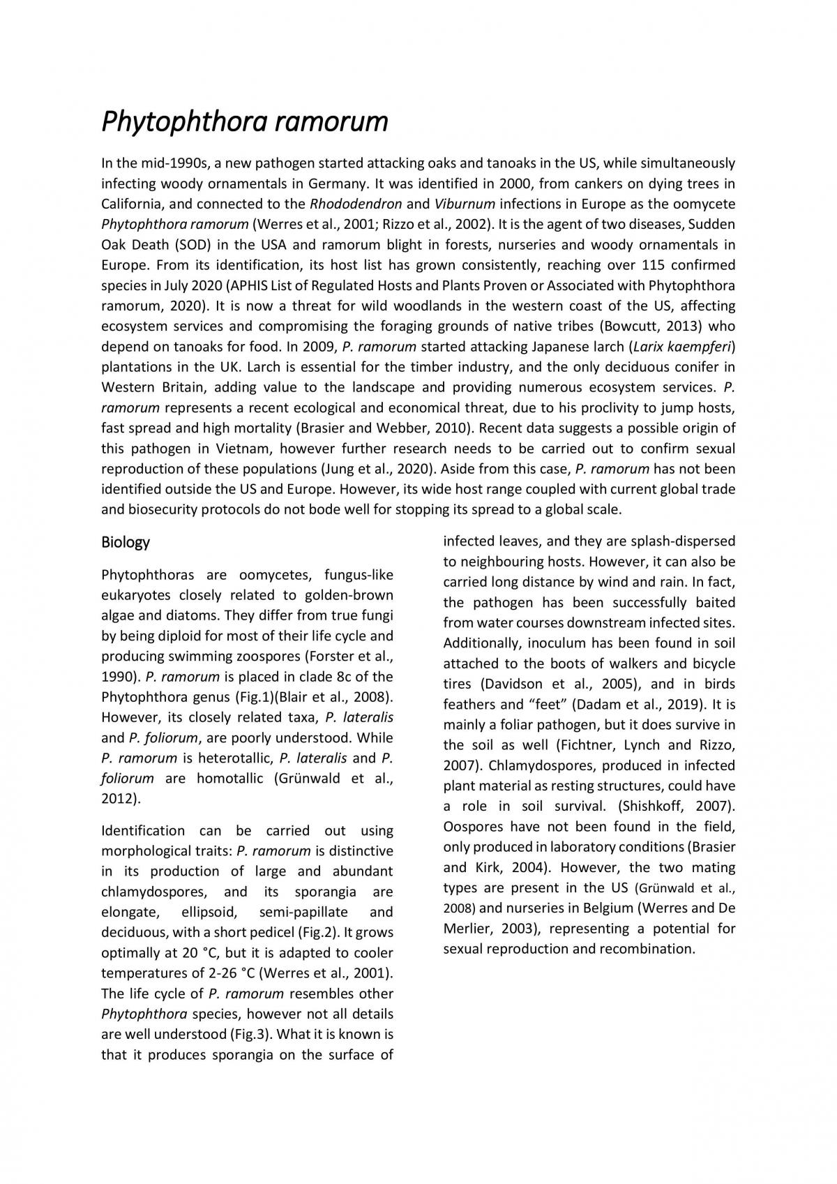 Leaflet on plant pathogen Phytophthora ramorum | PLSC10004 - Fungi and ...