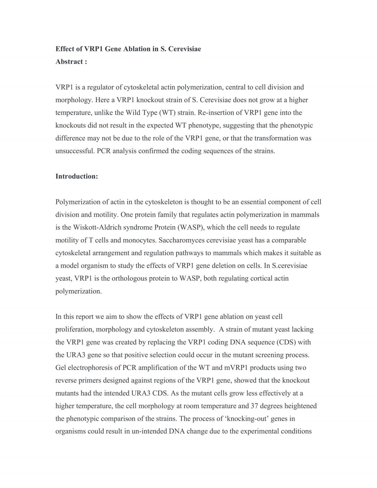Prac Report on S. Cerevisiae | BIOL2200 - Cell Structure & Function ...