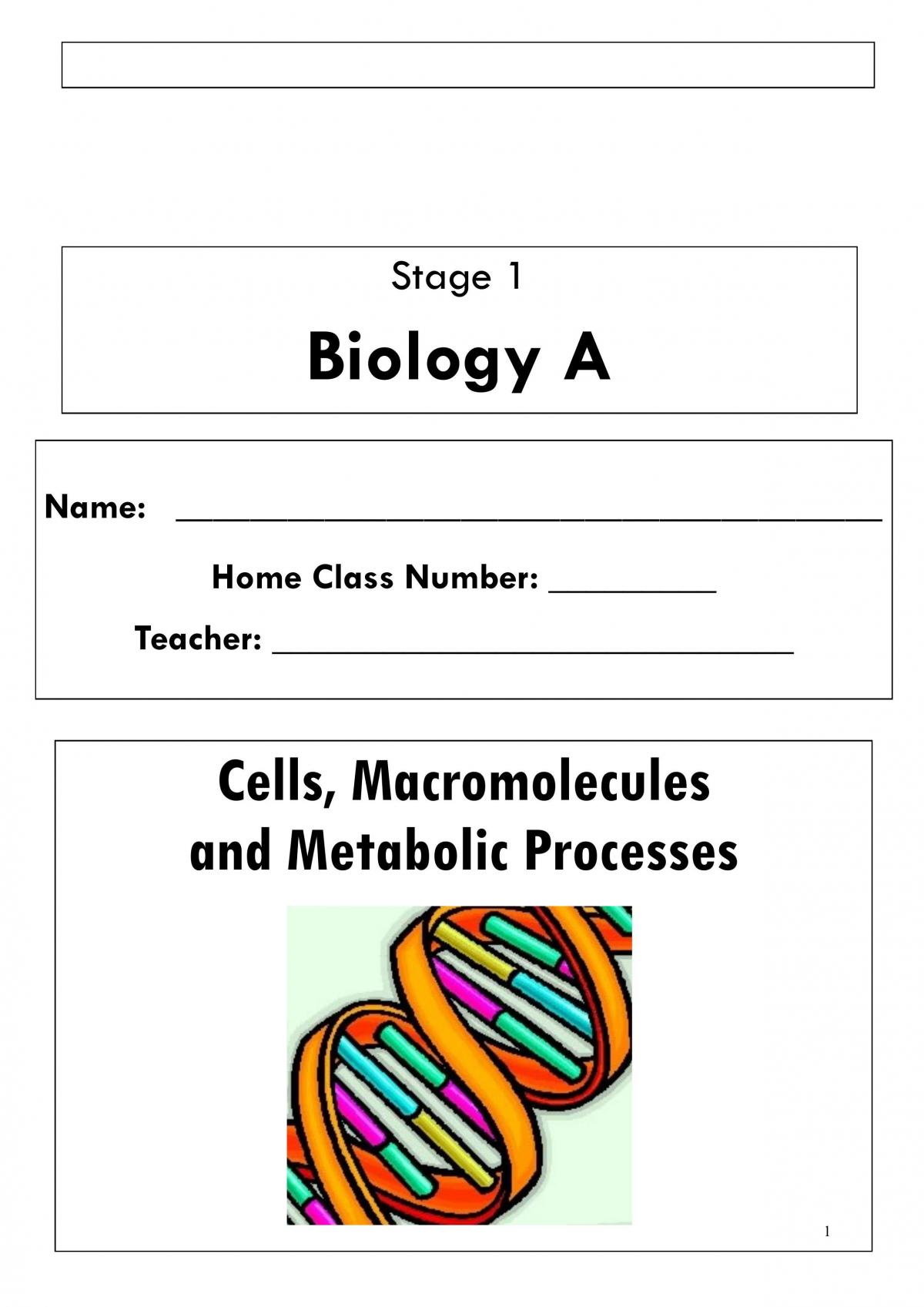 Cells, Macromolecules and Metabolic Processes | Biology - Year 11 SACE ...