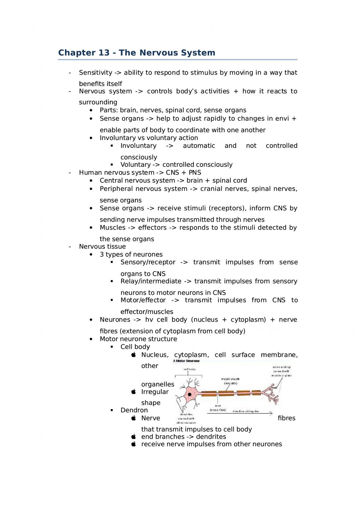 Nervous System & The Human Eye | Biology - Year 12 TCE | Thinkswap