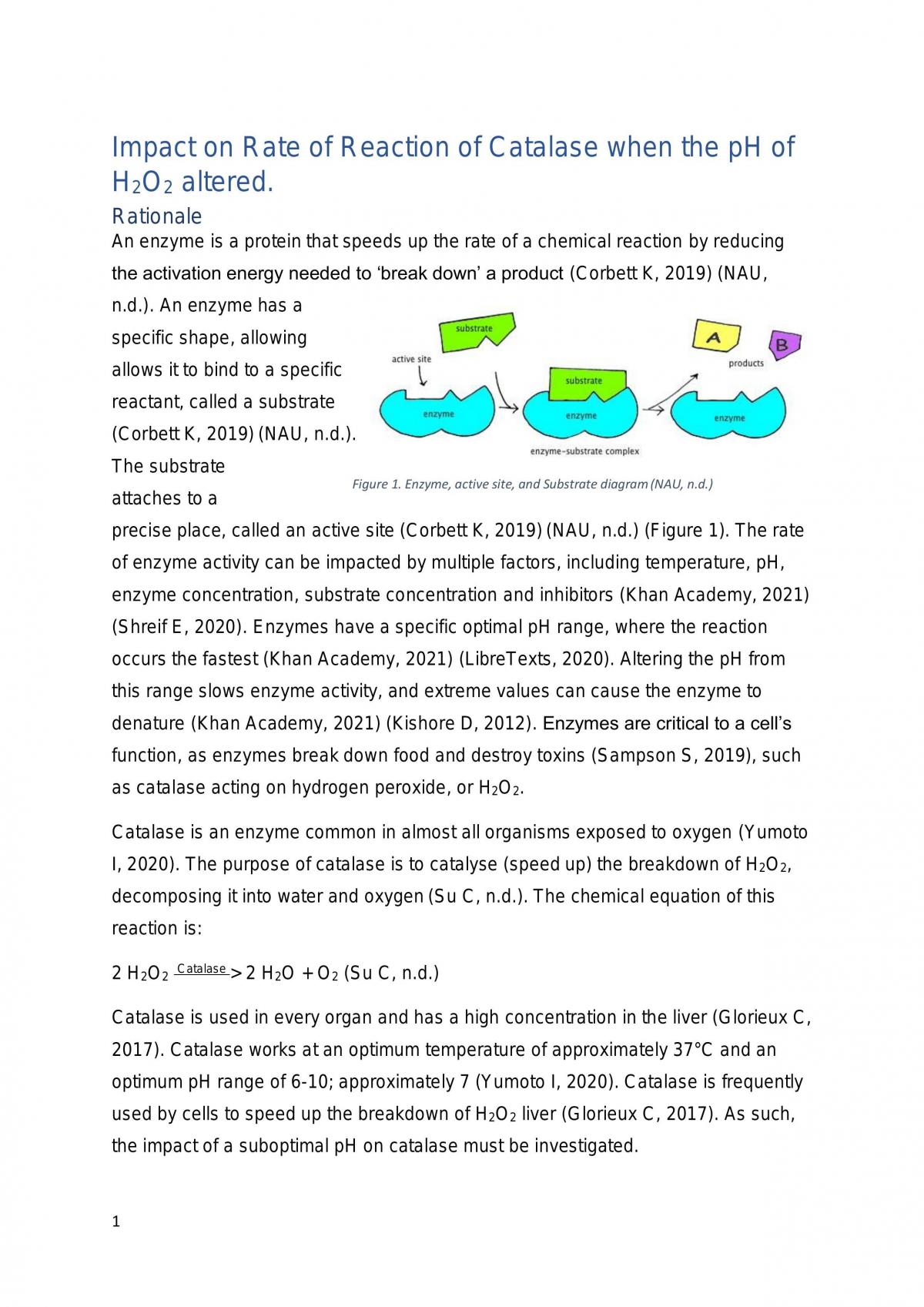Biology Student Experiment | Biology - Year 11 QCE | Thinkswap