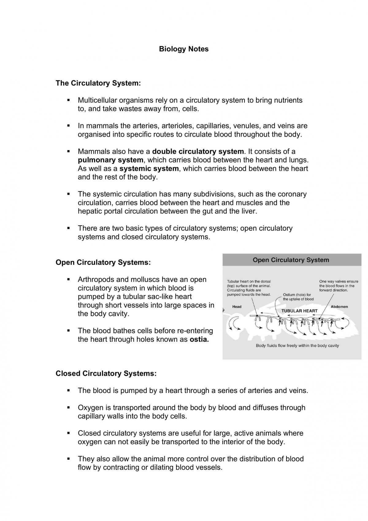 Biology Notes on Human Anatomy | Biology - Year 12 QCE | Thinkswap