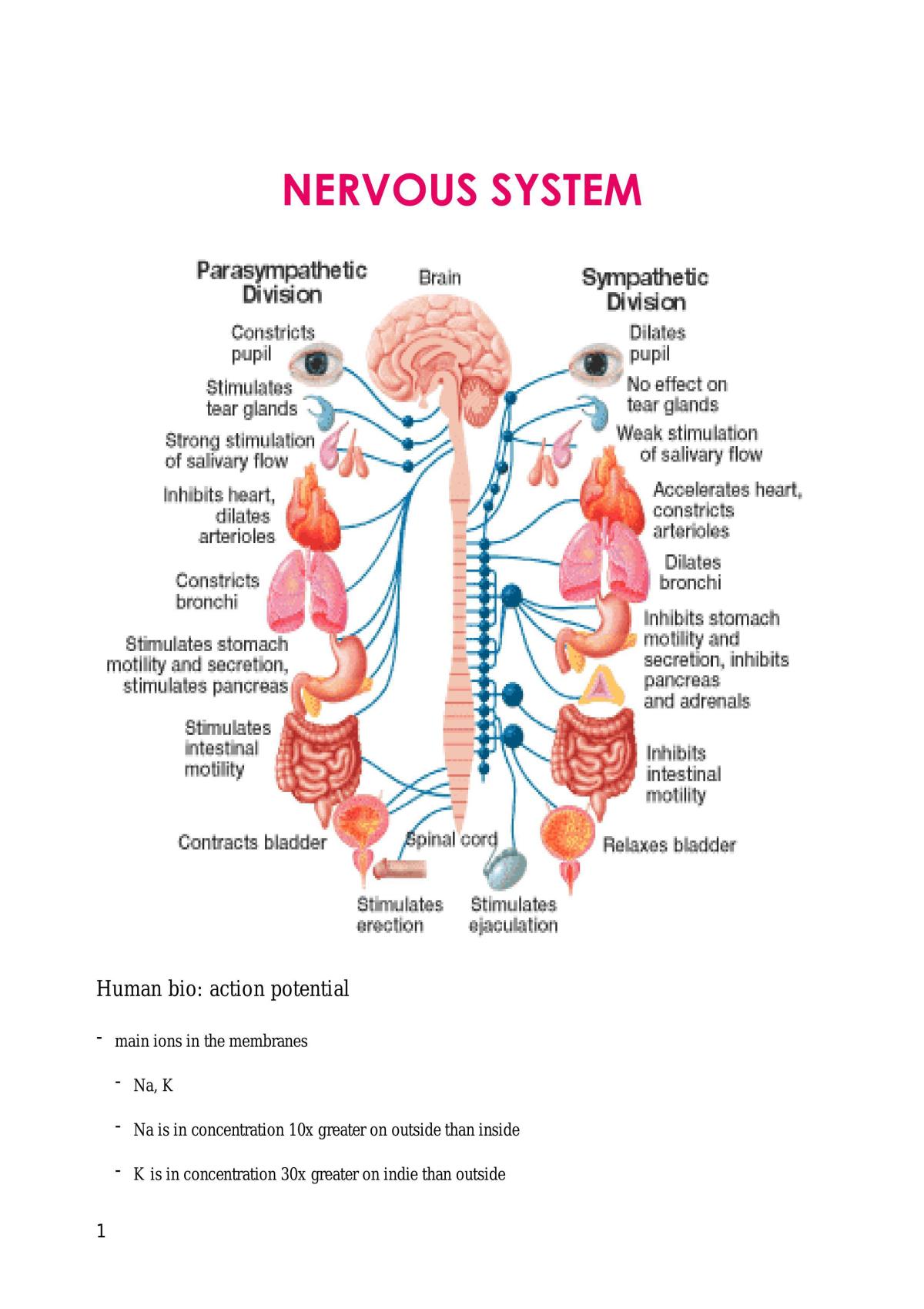 Human Biology year 12 notes | Human Biology - Year 12 WACE | Thinkswap