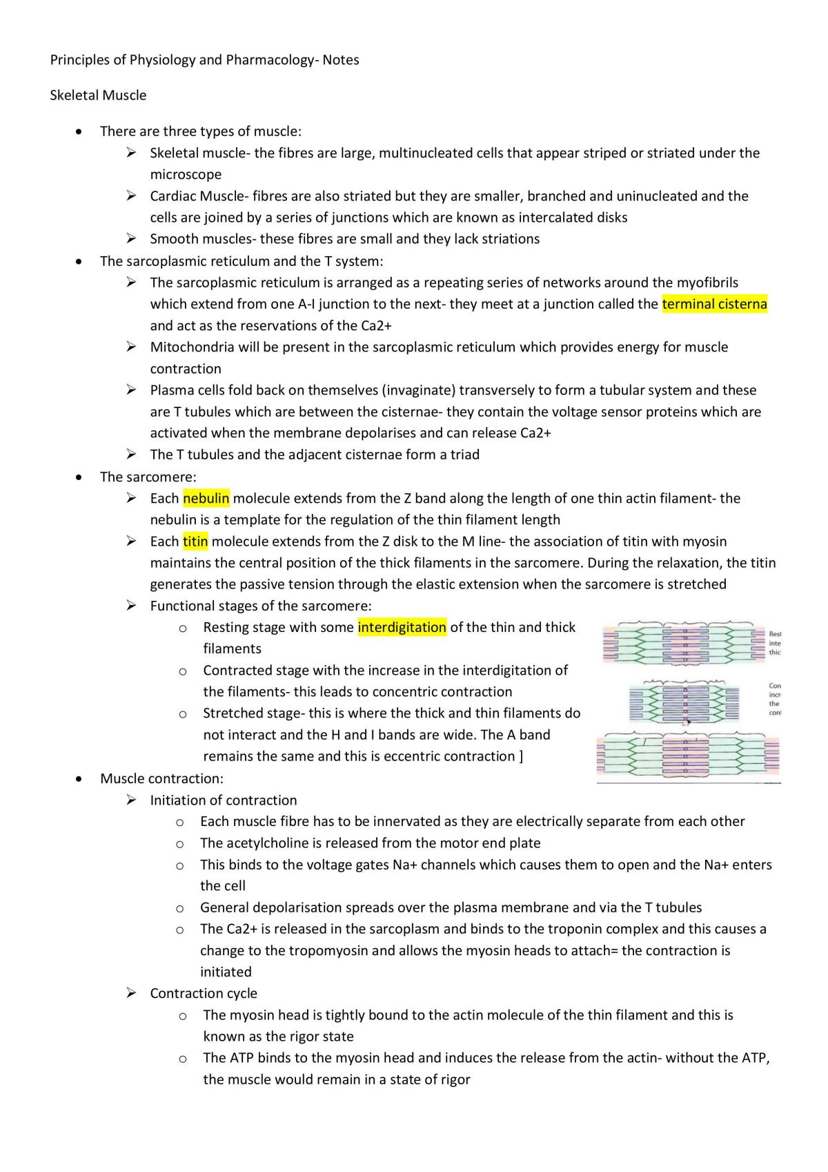 Principles of Physiology and Pharmacology Notes- KCL Year 1 | A100 ...