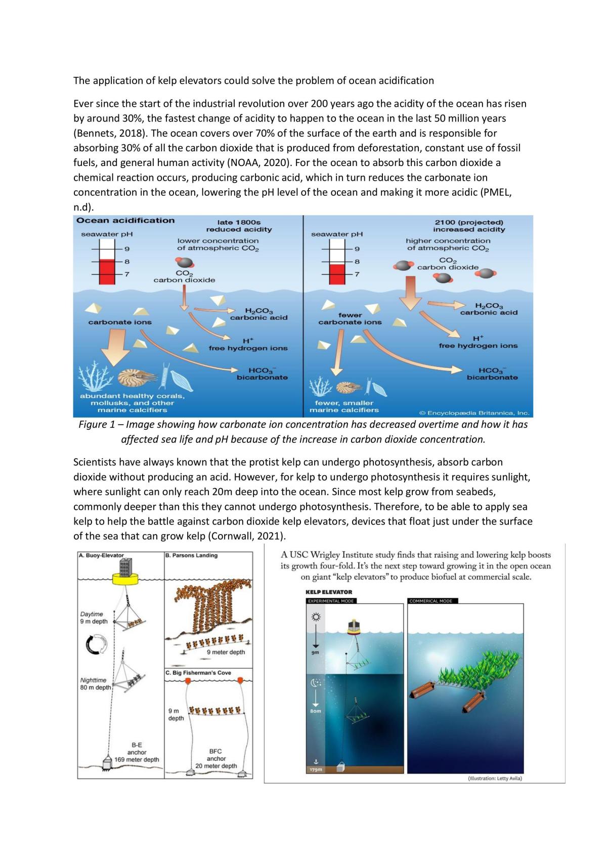 Ocean acidification SHE task | Chemistry - Year 11 SACE | Thinkswap