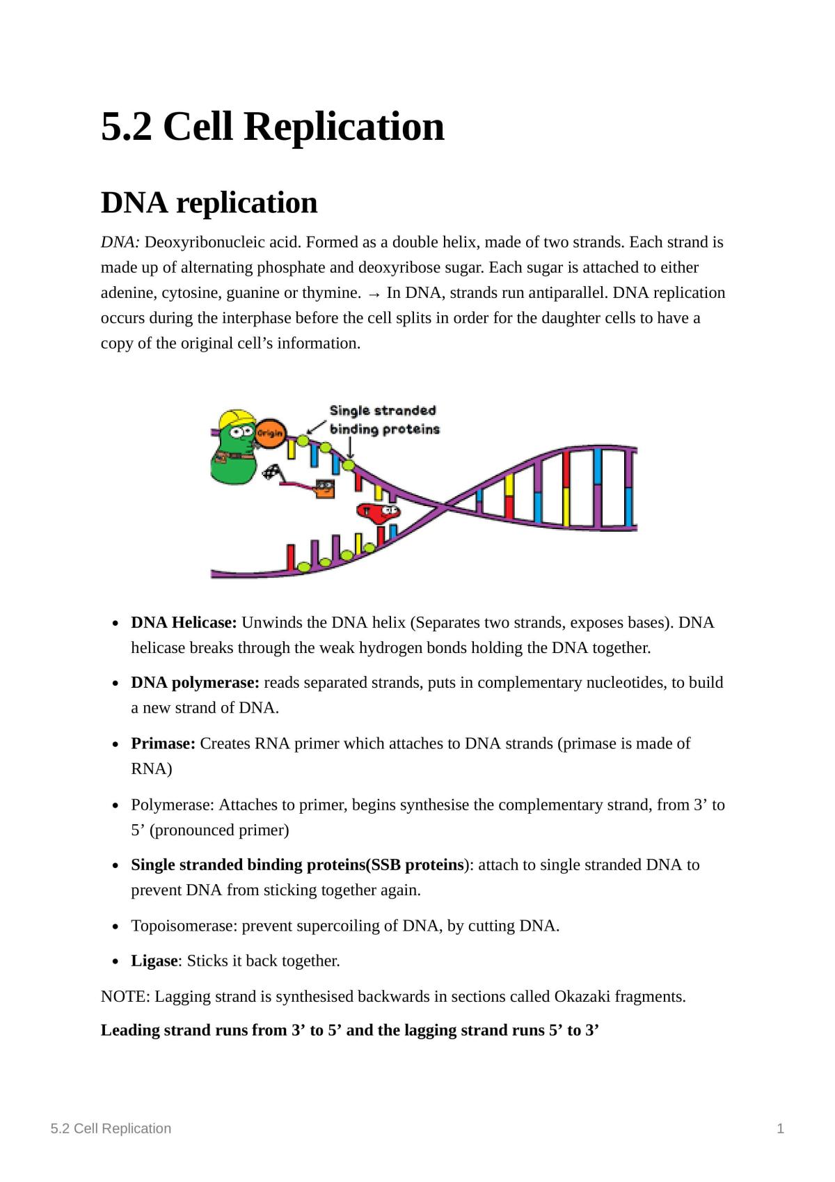 IQ 5.2 Bio Notes HSC | Biology - Year 12 HSC | Thinkswap
