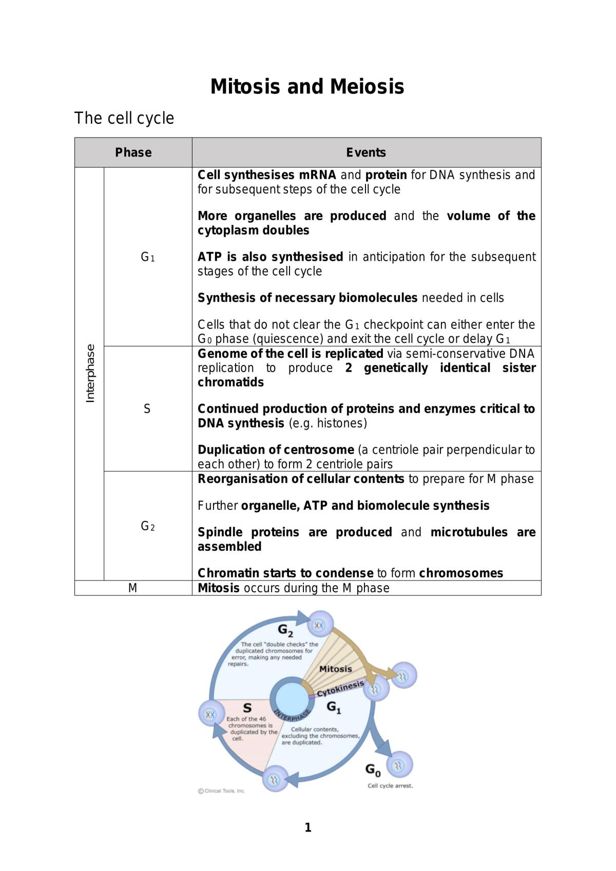 Cell Division | Biology H2 - GCE A Level | Thinkswap