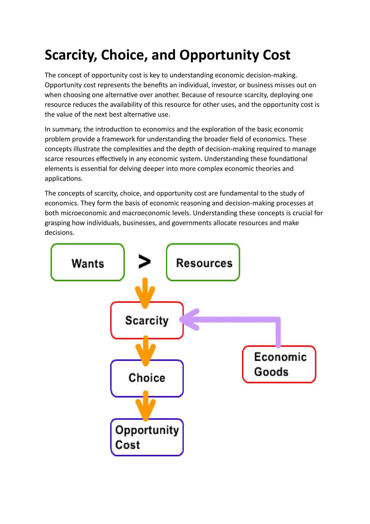 Year 12 Economics Notes | Economics - Year 12 SACE | Thinkswap