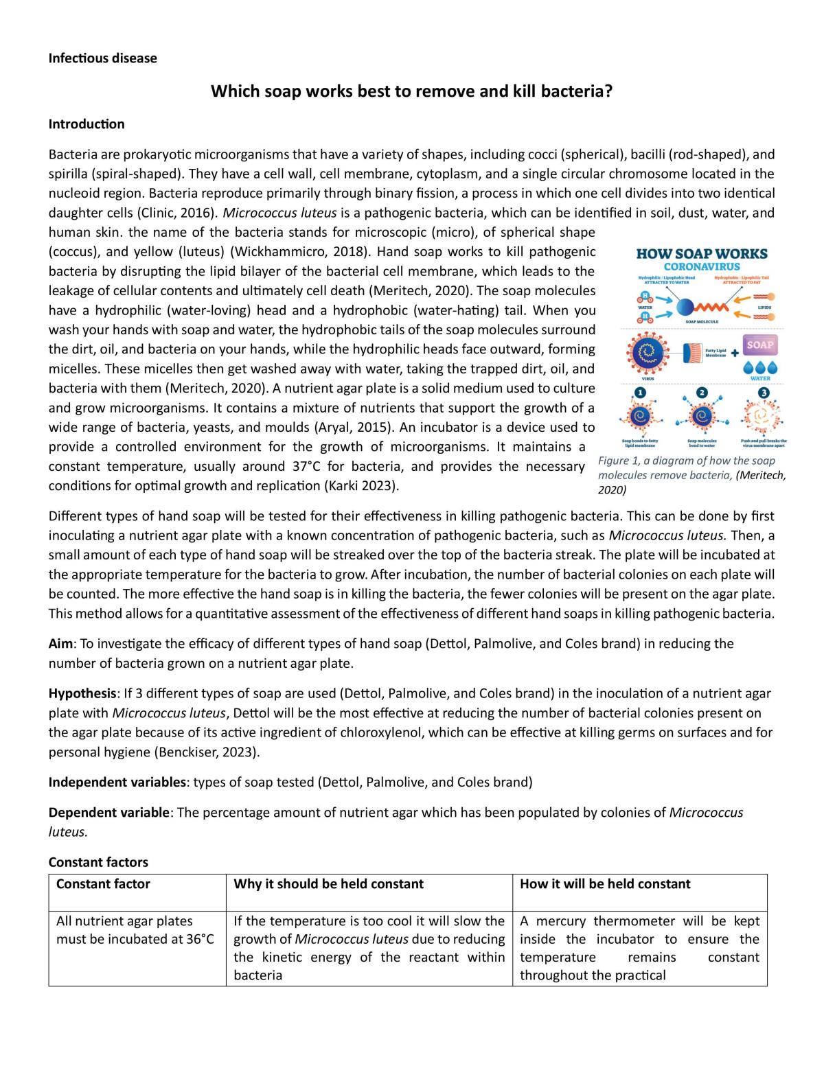 Biology Practical Report on Infectious Diseases | Biology - Year 11 ...