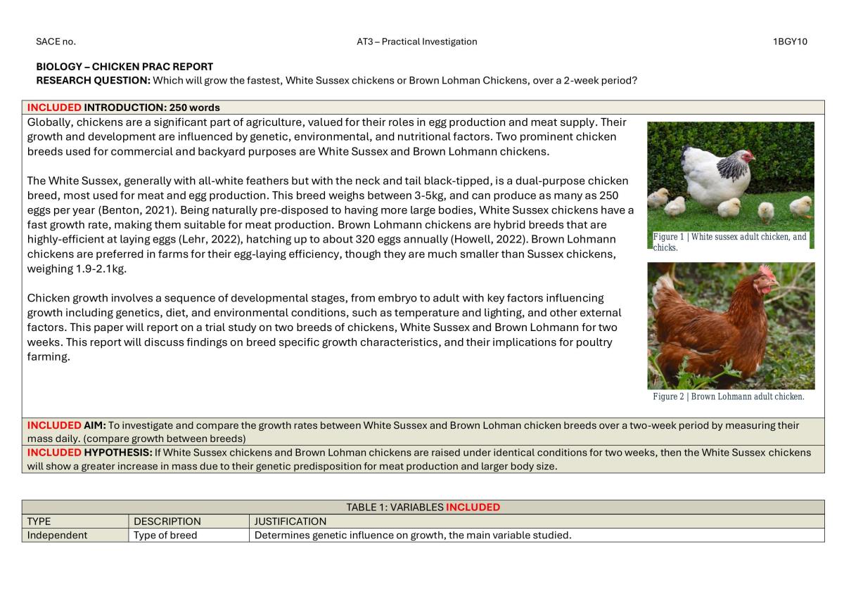 Biology Chicken Practical Report | Biology - Year 11 SACE | Thinkswap