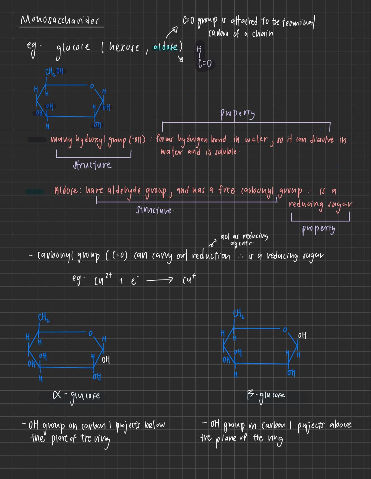 Carbohydrates Notes | Biology H2 - GCE A Level | Thinkswap