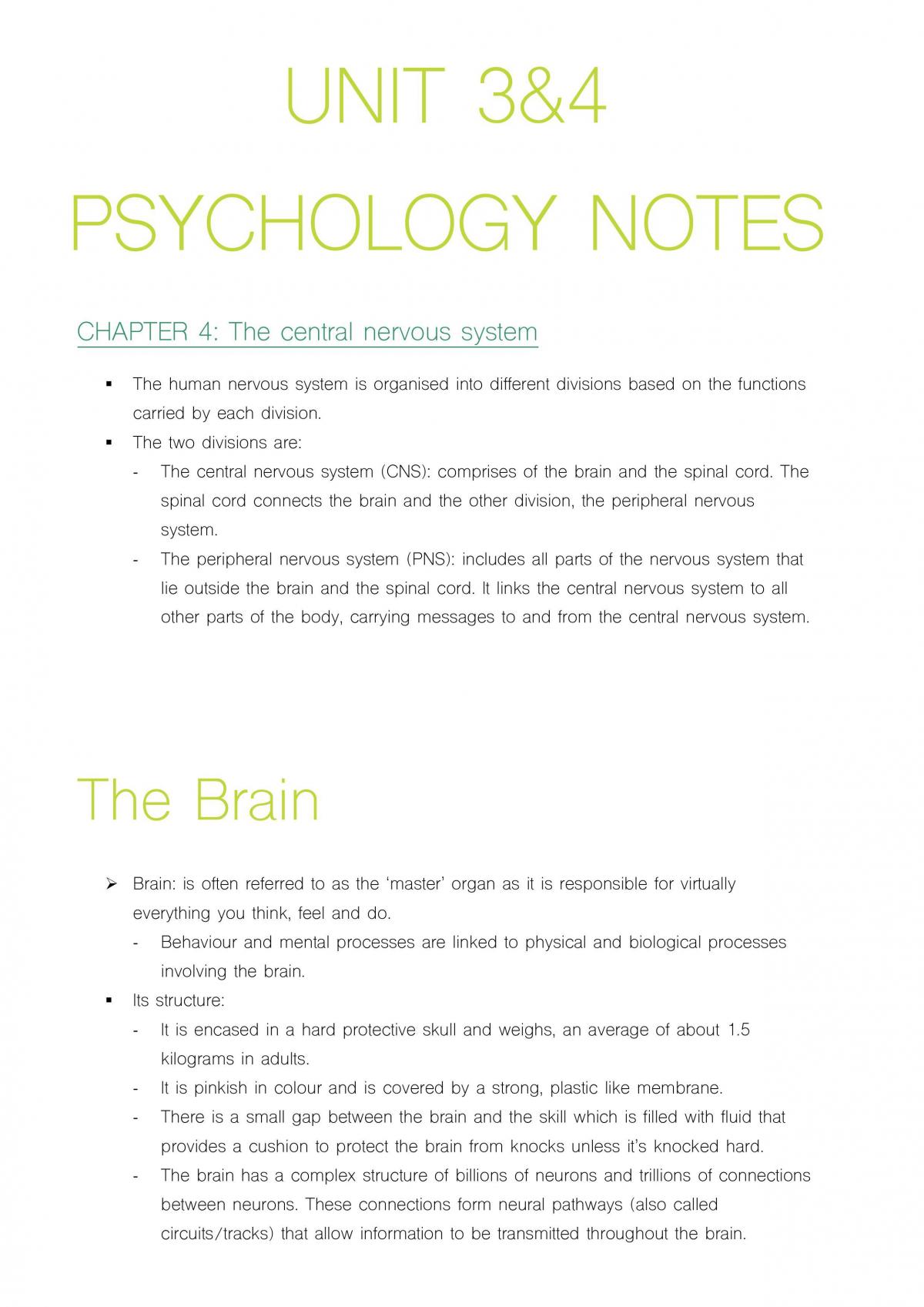 Notes on the Brain | Psychology - Year 12 VCE | Thinkswap