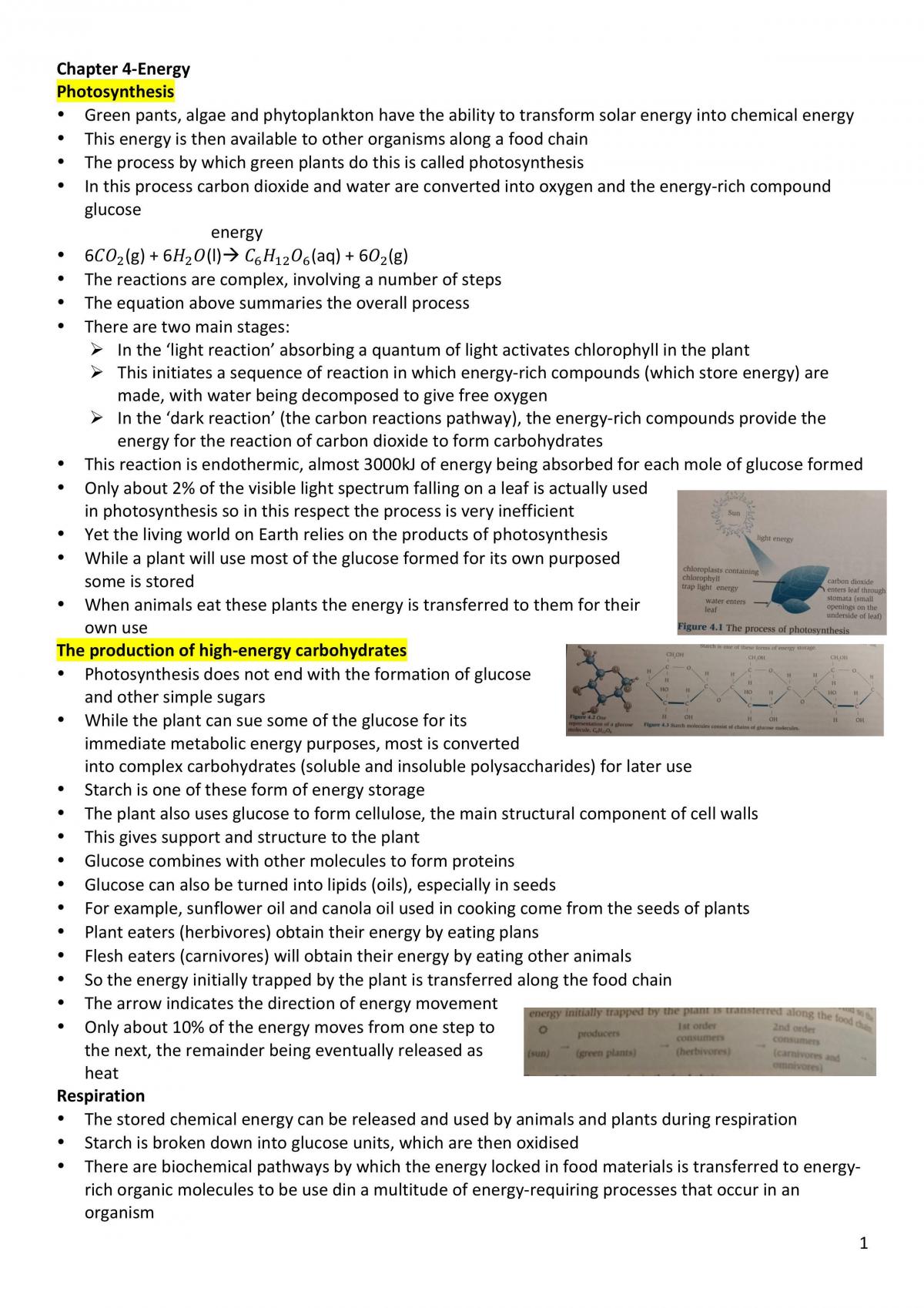 Chemistry Energy Notes | Chemistry - Year 11 HSC | Thinkswap