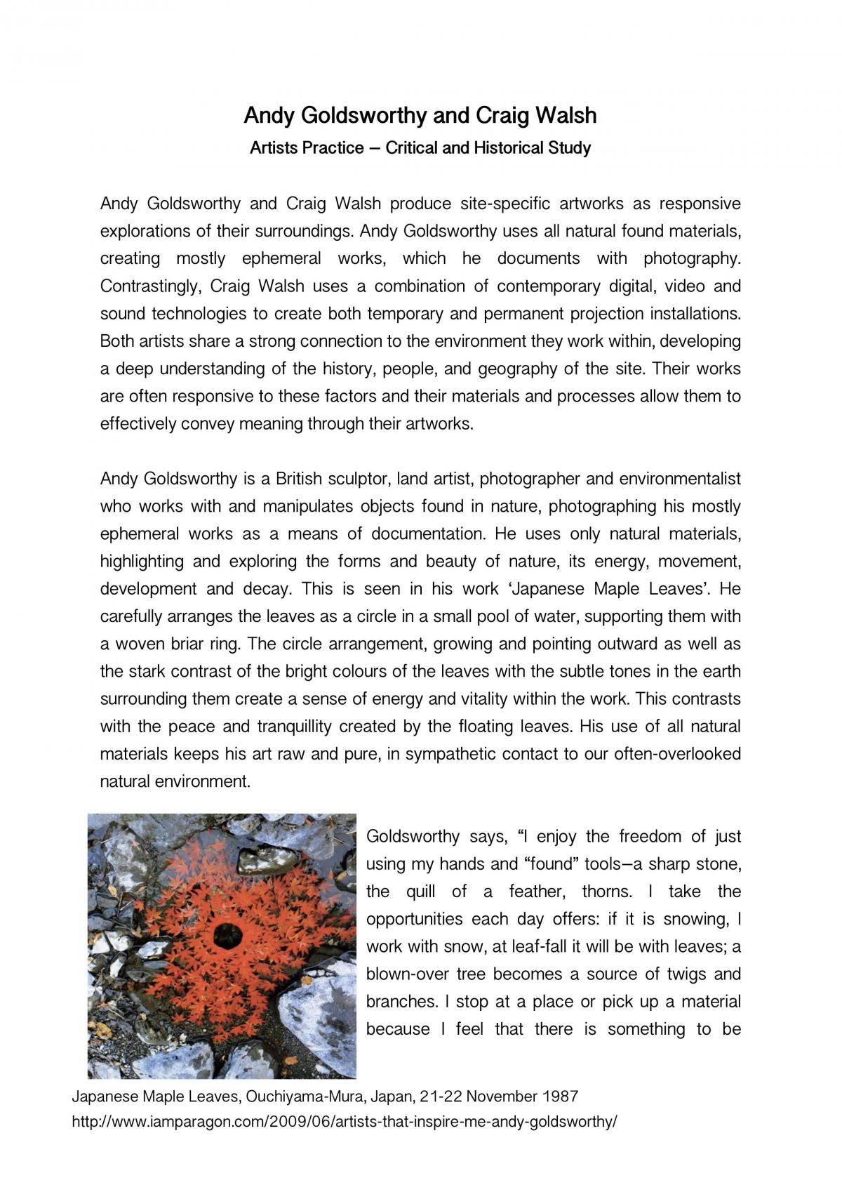 Andy Goldsworthy and Craig Walsh Artists Practice – Critical and ...