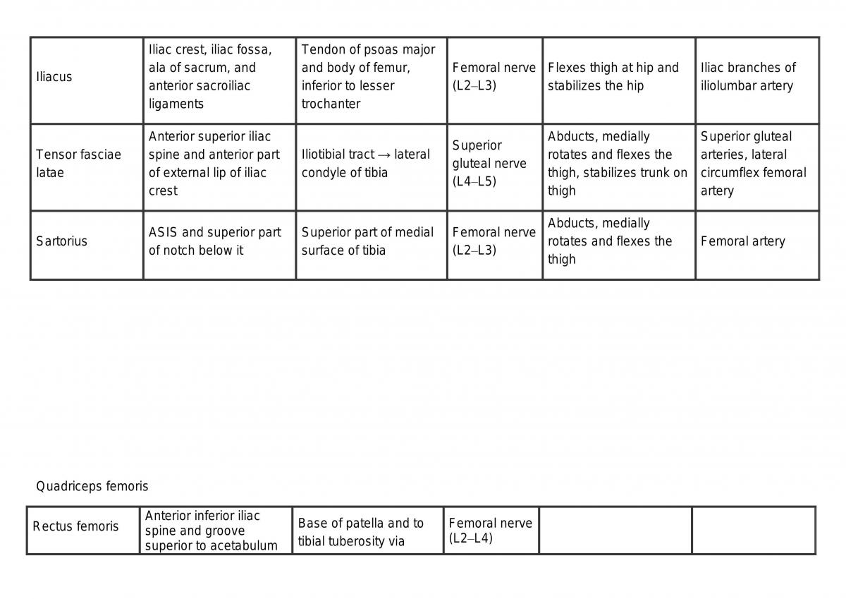 upper-and-lower-limb-anatomy-a100-medicine-and-surgery-newcastle