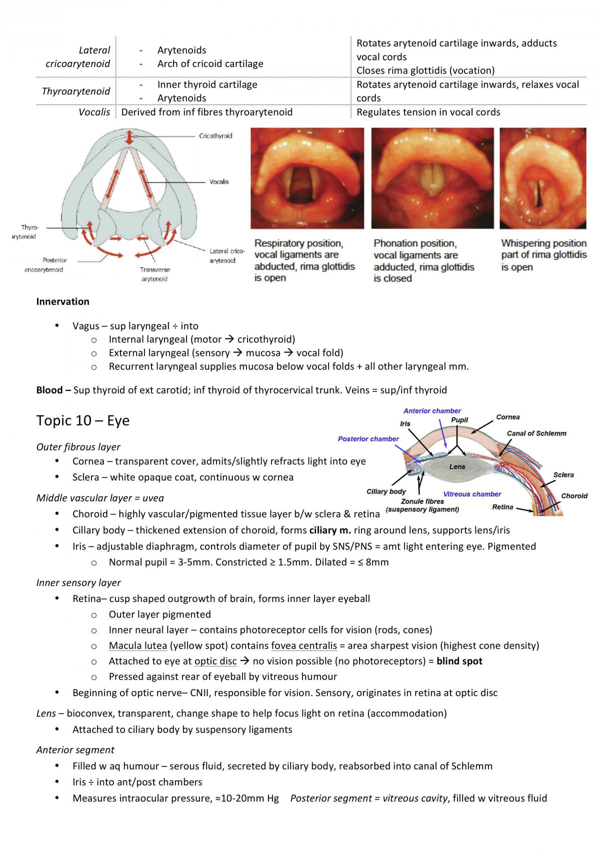 Head and Neck Anatomy 2 | DOH254 - Foundations of Dental Clinical ...