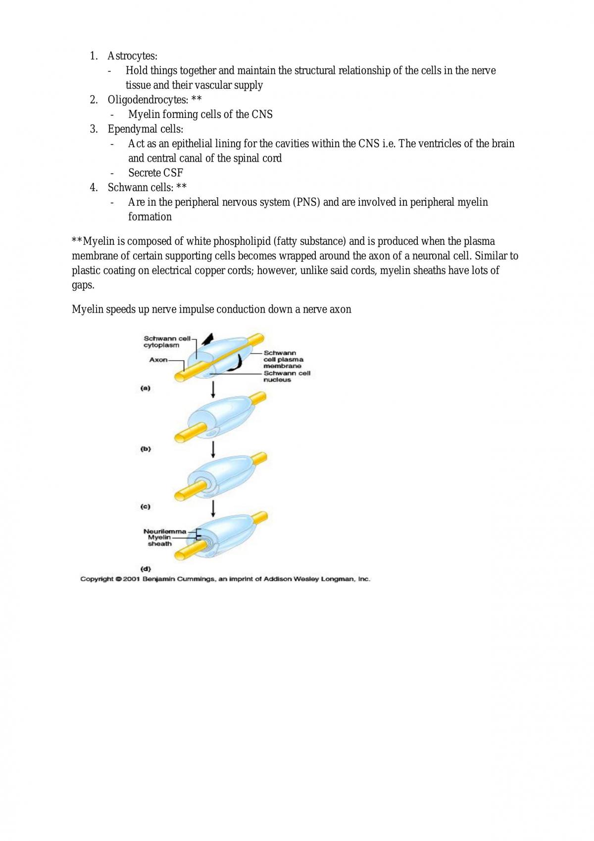 Human Biology Complete Course Notes | 1001NSC - Human Biology ...