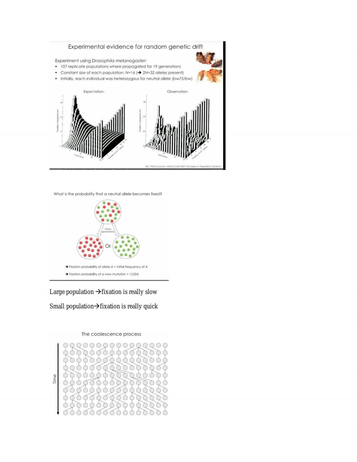complete-study-notes-for-biol2201-biol2201-evolution-uq-thinkswap
