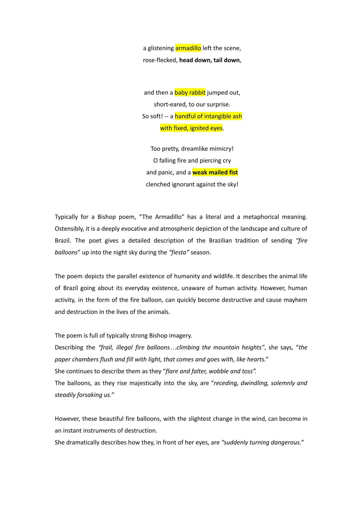 Complete H1 Standard Elizabeth Bishop Sample Answers and Notes ...
