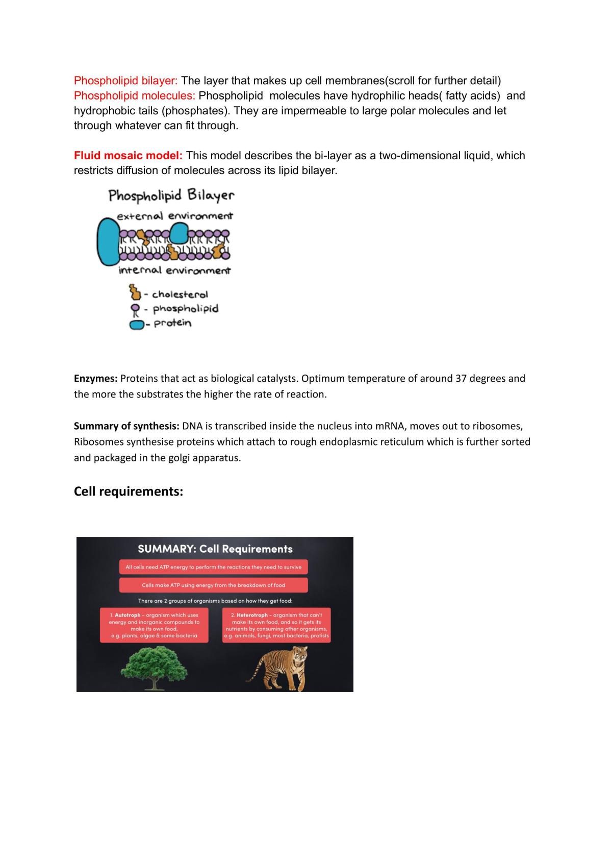 Preliminary Biology Complete Course Notes | Biology - Year 11 HSC ...