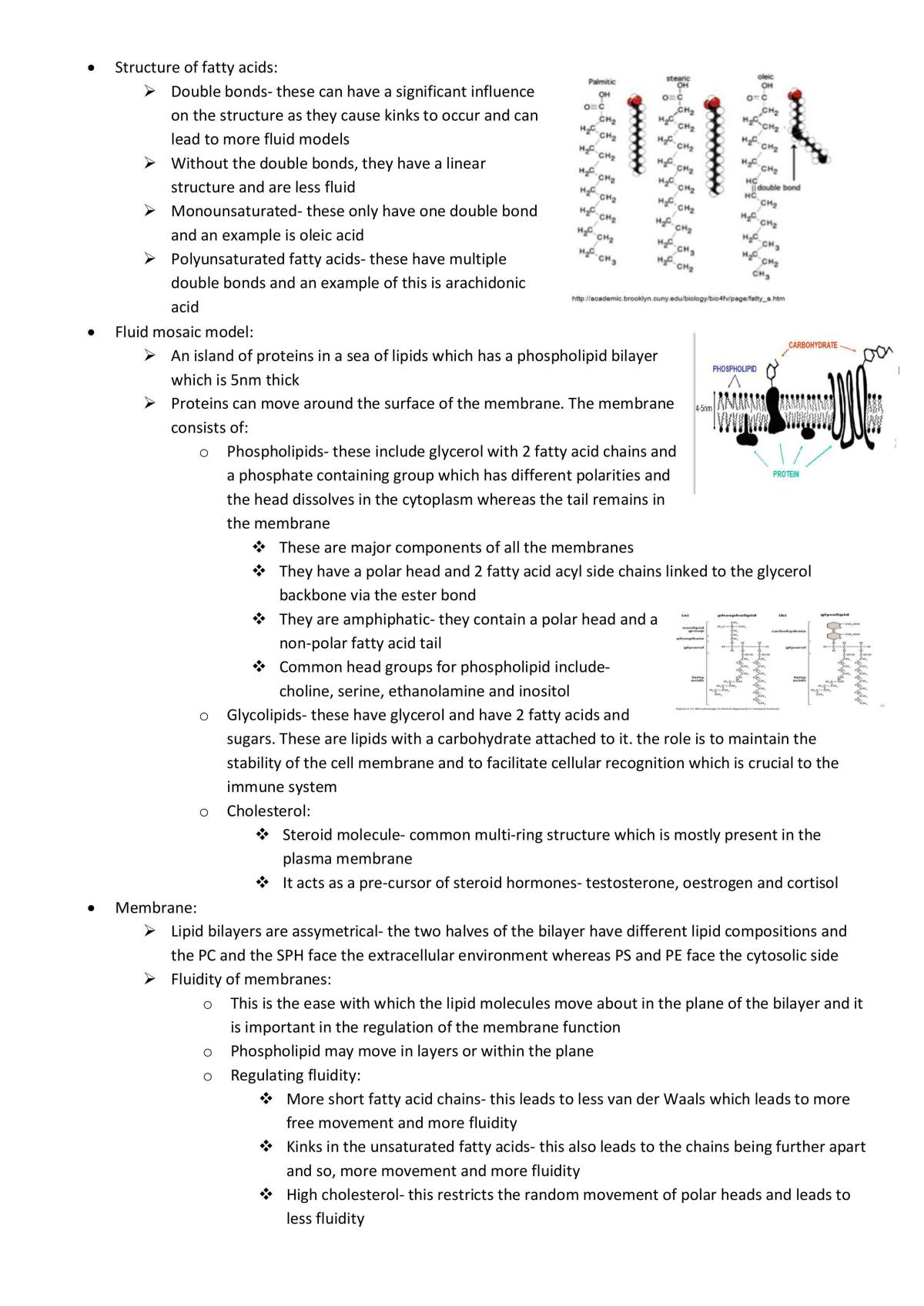 Cell biology notes | BC99 - Biomedical Science - KCL | Thinkswap