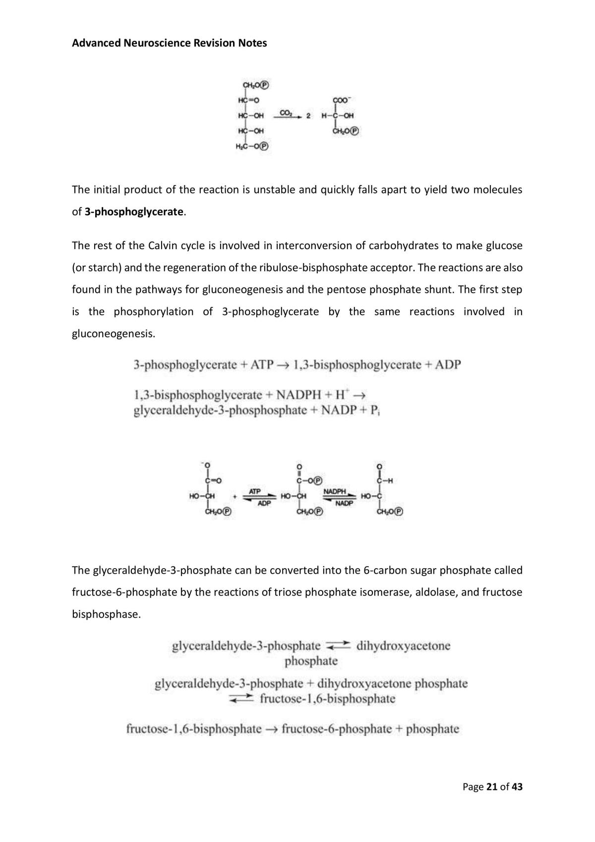 Advanced Neuroscience Revision Notes | BMS5004 - Advanced neuroscience ...
