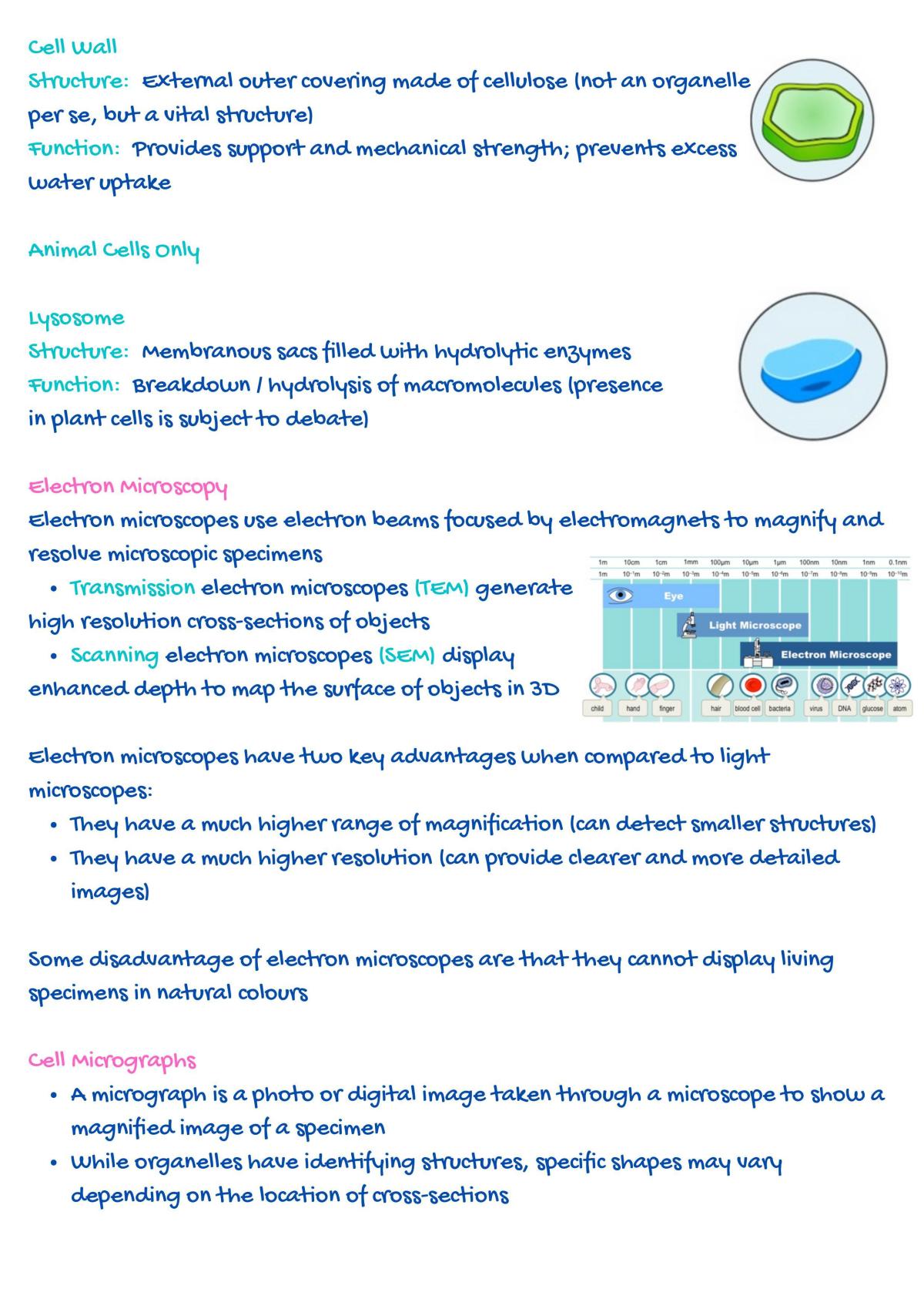 IB bio chapter1 | Biology - Higher Level IB | Thinkswap