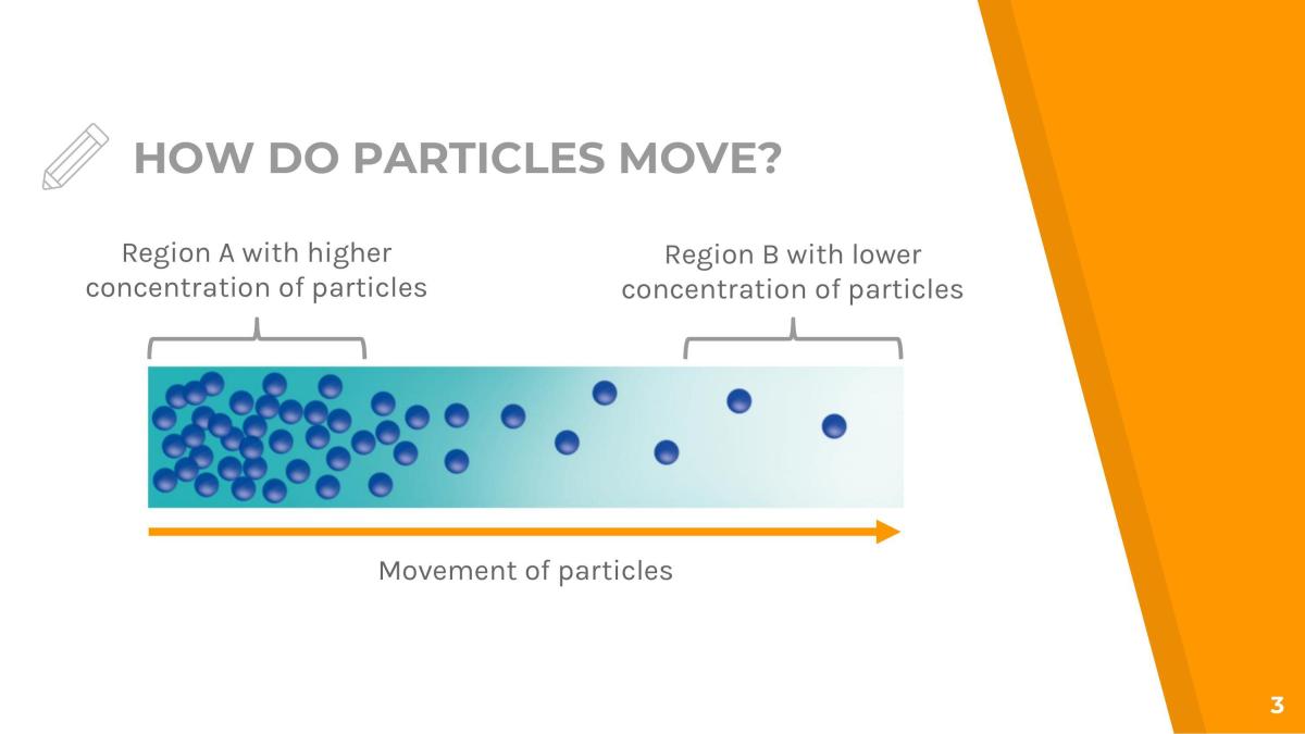 H1 Biology Movement of Substances Pocket Notes | Biology H1 - GCE A ...