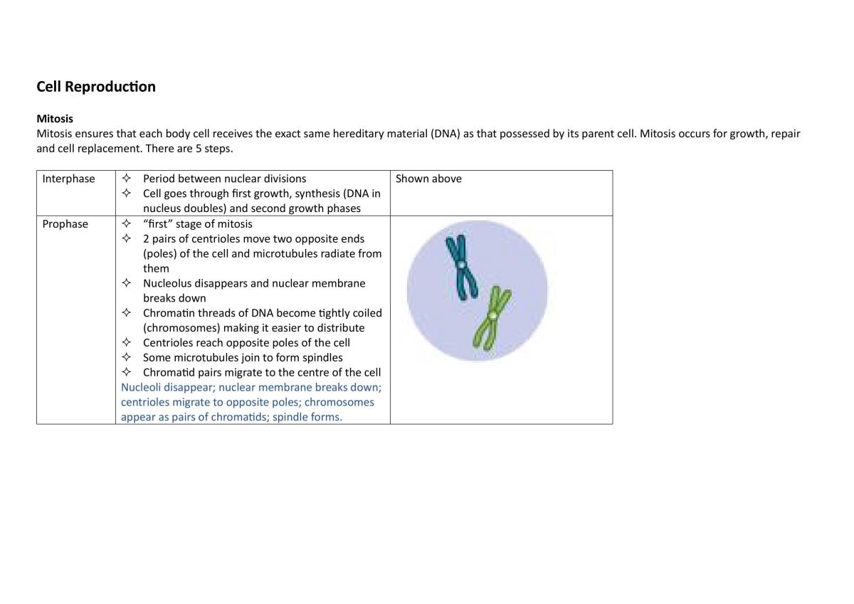 Complete final ATAR year 11 human bio exam notes | Human Biology - Year ...