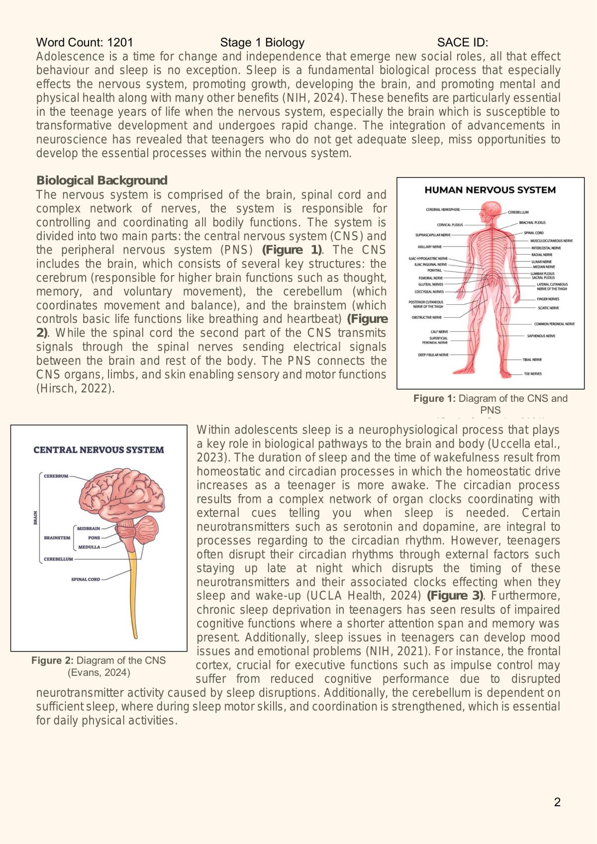 She Task - the Affects of Sleep on the Nervous System in Teenagers ...