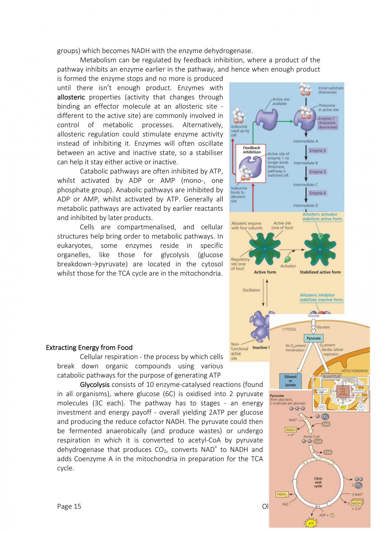 Notes on Molecules Cells and Genes | BABS1201 - Molecules, Cells and ...