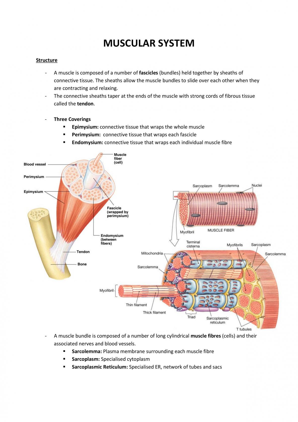 human-biology-syllabus-notes-human-biology-year-11-wace-thinkswap