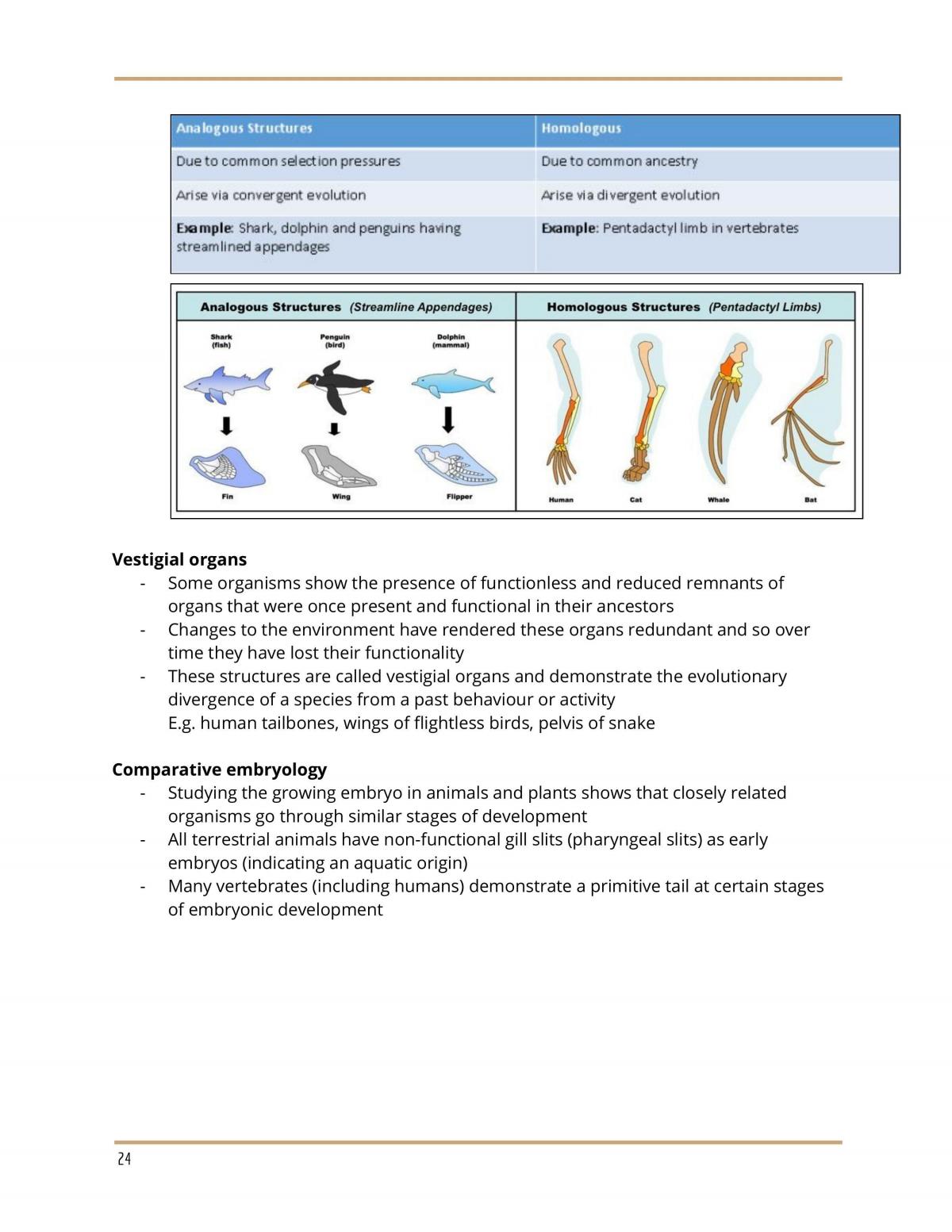 DNA and genetics notes | Biology - Year 11 HSC | Thinkswap