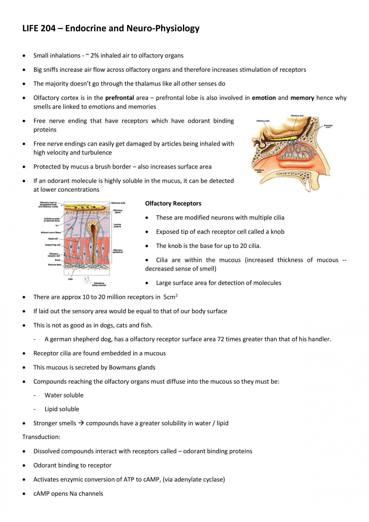 Notes for LIFE 204 | LIFE 204 - Endocrine and Neuro-physiology ...