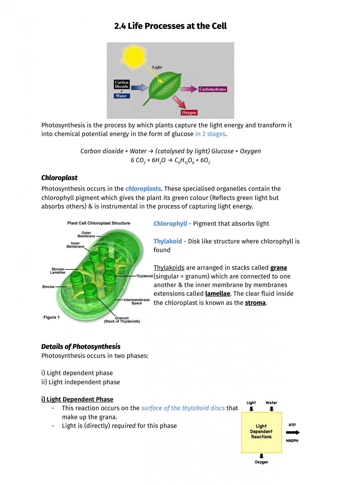 2.4 AS 91156 Full Notes on Cells | Biology - Level 2 NCEA | Thinkswap