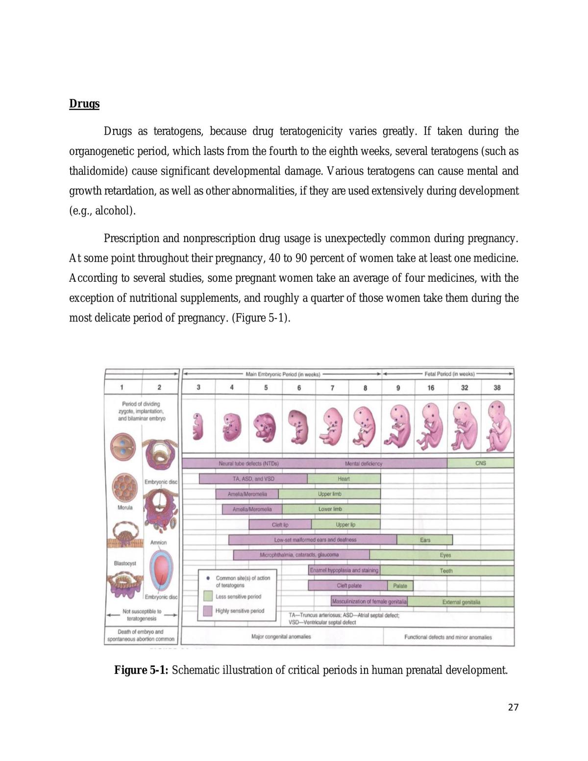 Assignment on developmental biology | BTDB-4113 - Developmental Biology ...
