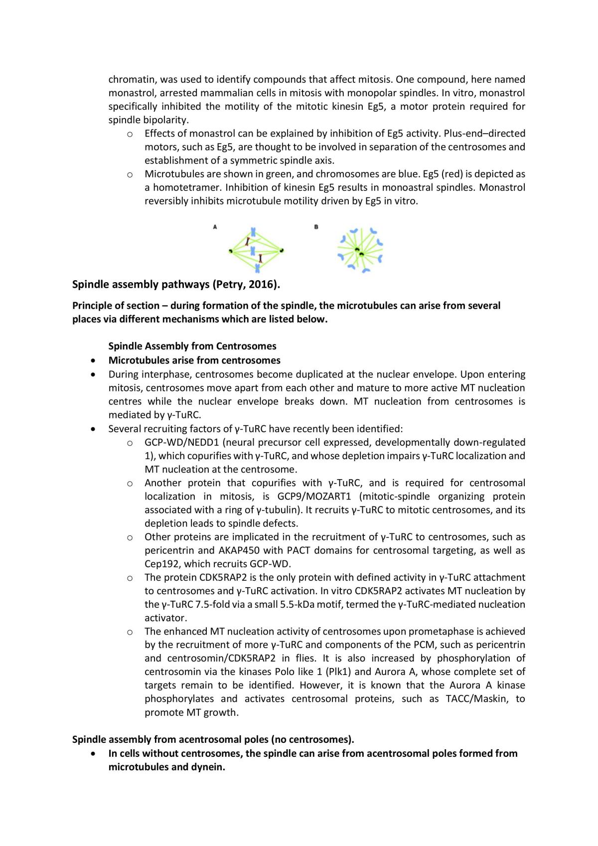 BIOL2481 - Advanced Cell Biology Notes | BIOL3481 - Advanced Cell ...