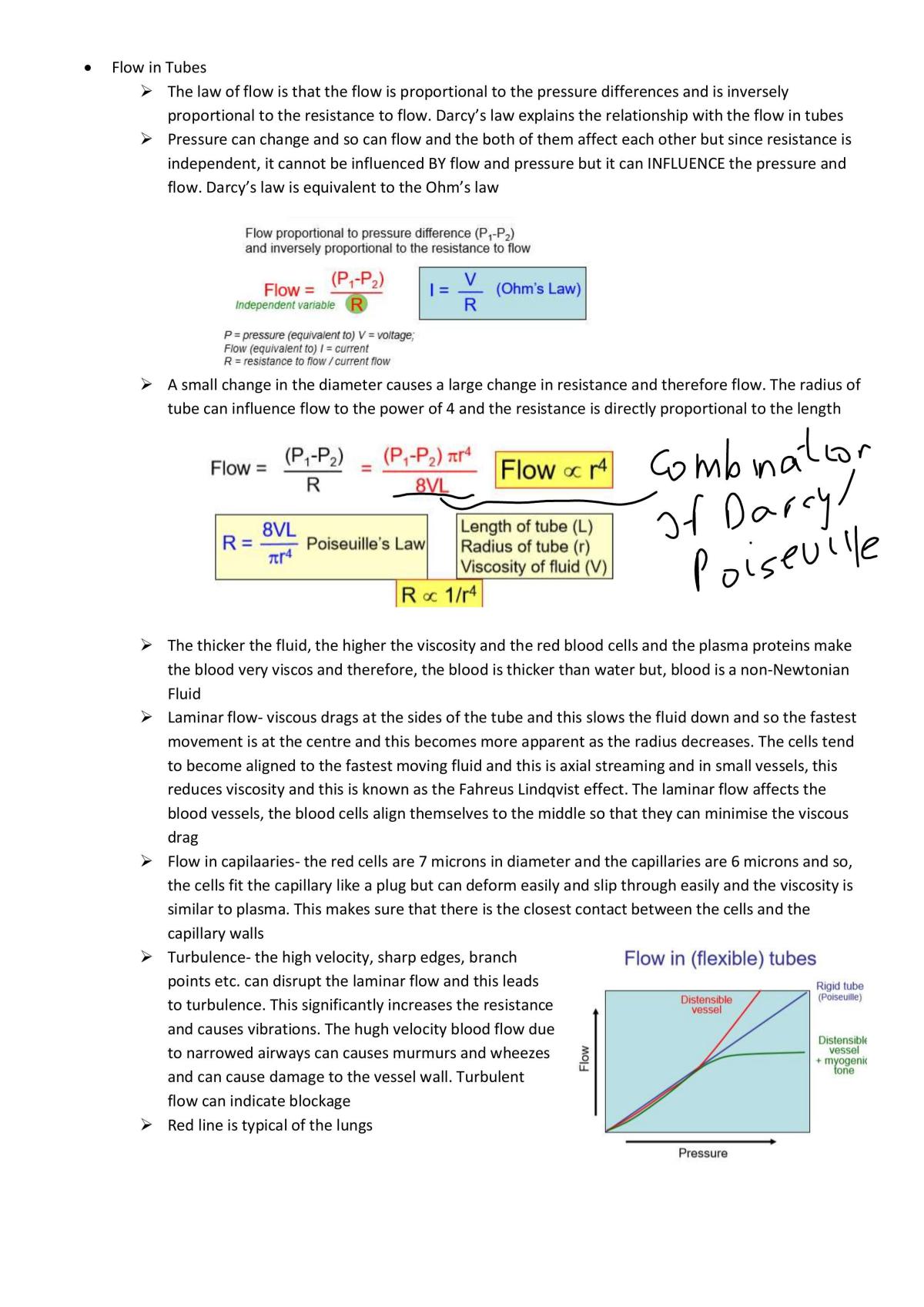 Principles of Physiology and Pharmacology Notes- KCL Year 1 | A100 ...