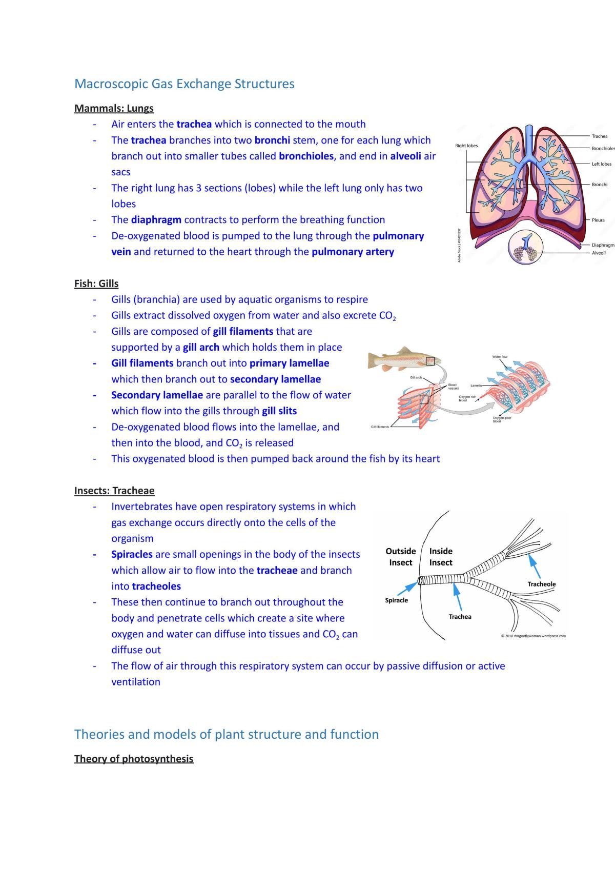 Preliminary Biology Complete Course Notes | Biology - Year 11 HSC ...
