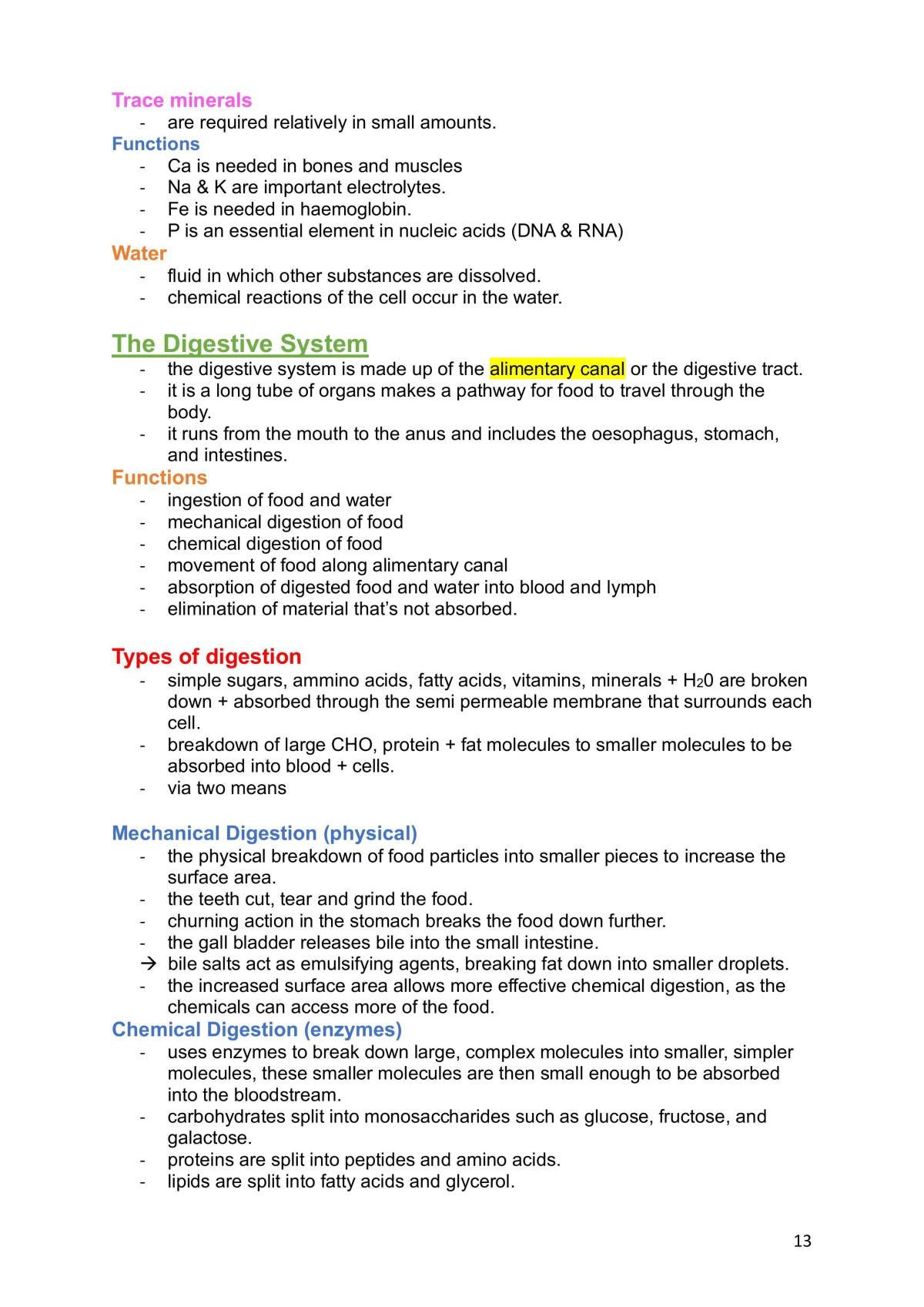 Cells and Tissues, Metabolism, Digestive System | Human Biology - Year ...