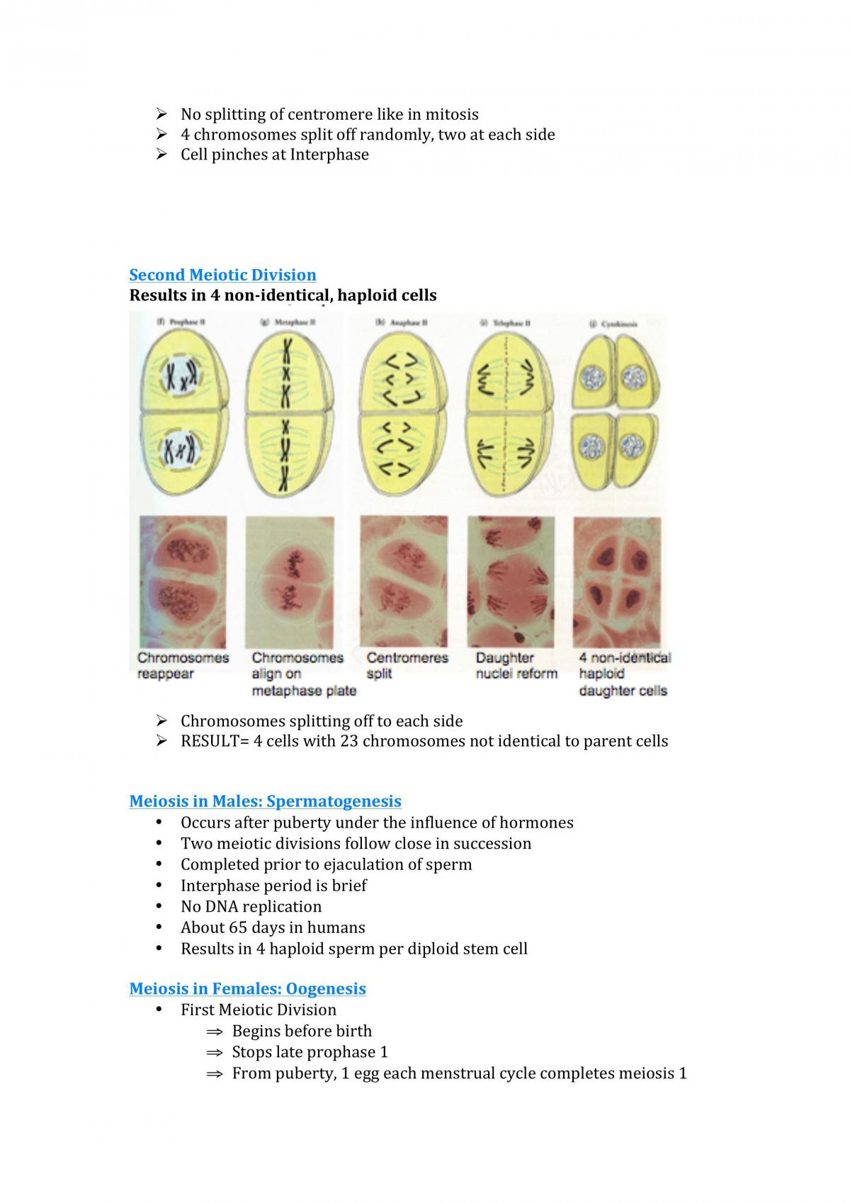 Human Cell Biology Lecture Notes | BIOS1167 - Human Cell Biology - USYD ...